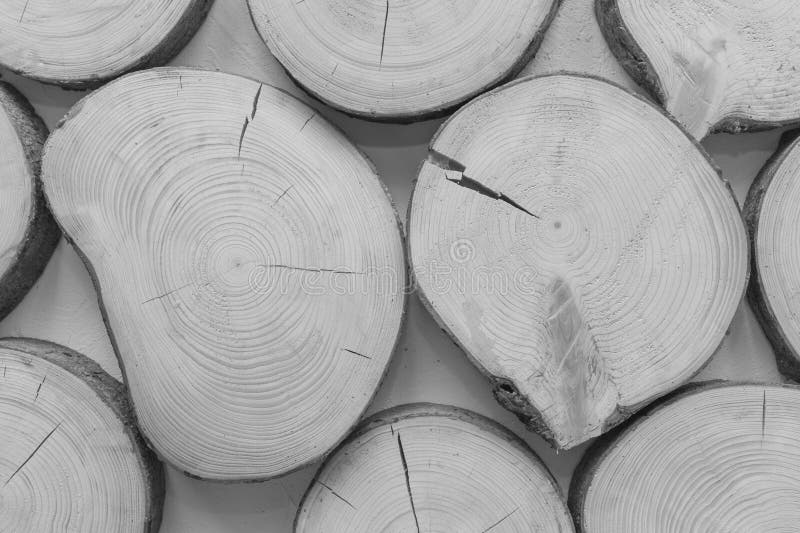 Annual Wooden Rings Decorative Pattern Interior Wall Texture Decor Gray ...