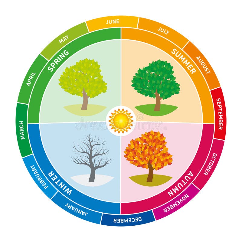 Annual Cycle, Circular Chart Depicting 12 Months and Four Seasons Stock ...