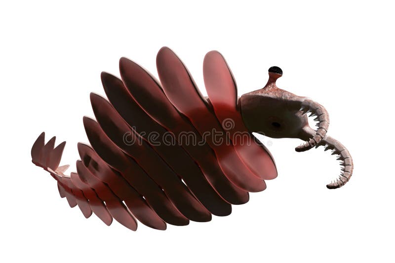 Marine Life Cambrian Period Stock Illustrations – 58 Marine Life ...