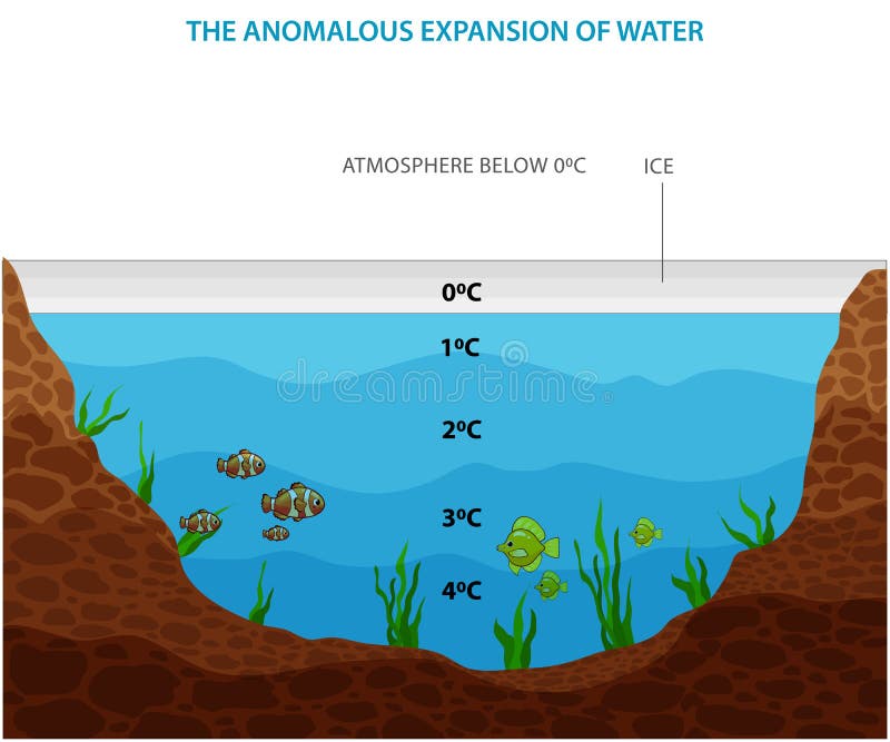 The Anomalous Expansion of Water or Anomalous Behavior of Water Stock ...