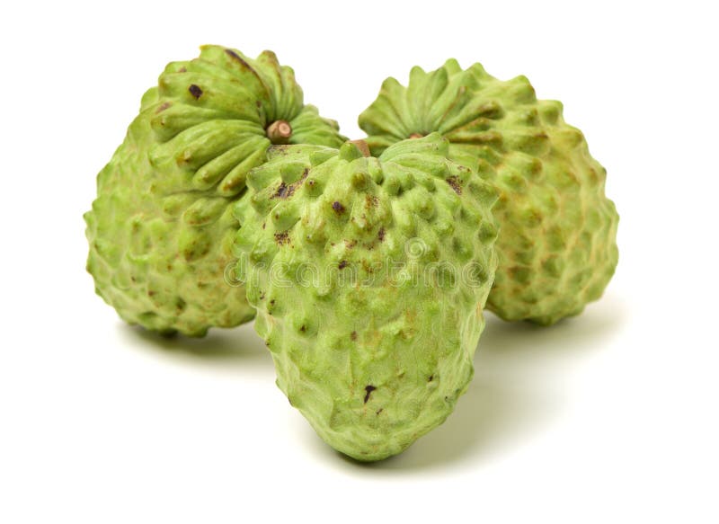 495 Anona Fotos de stock - Fotos libres de regalías de Dreamstime