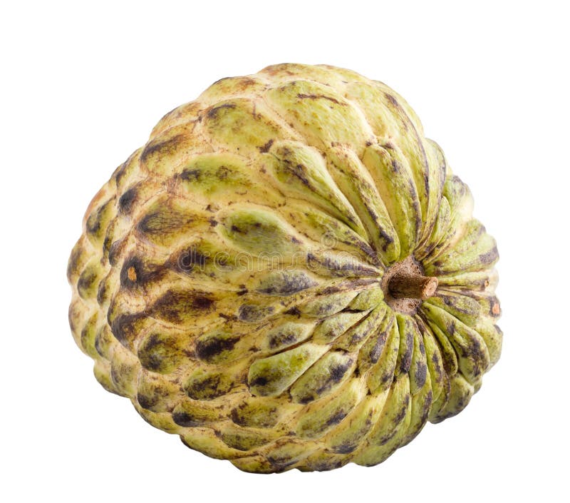 Fruta de la anona foto de archivo. Imagen de verde, gérmenes - 32780764