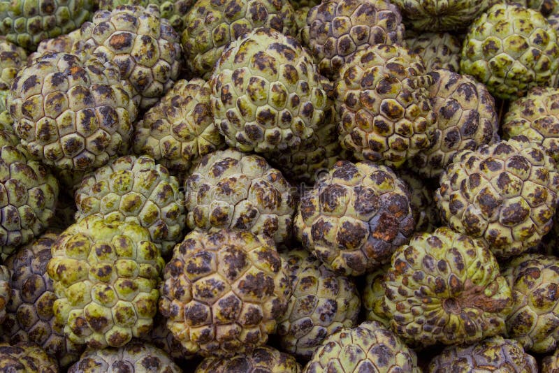 Anonas Fotos De Stock - Descarga 179 Fotos Libres de Derechos