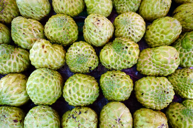 Anonas Fotos De Stock - Descarga 179 Fotos Libres de Derechos