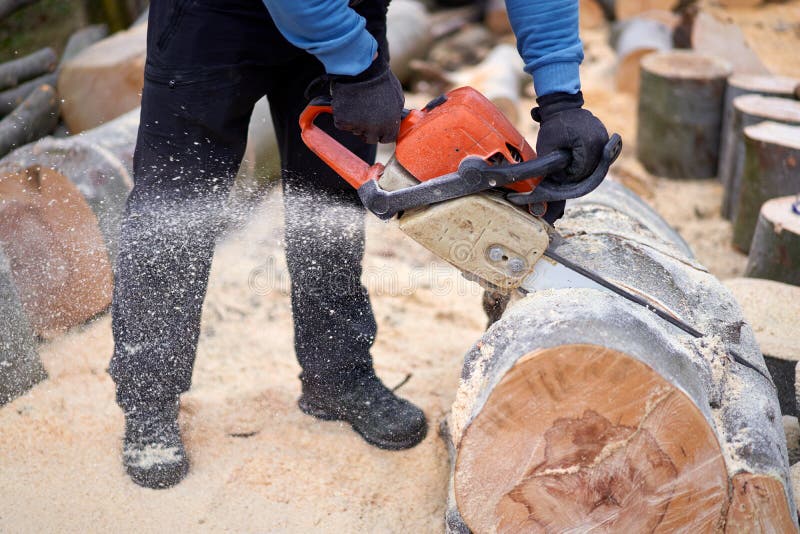 Anonymous Logger Bucking Logs Stock Image - Image of timber, lumbering ...