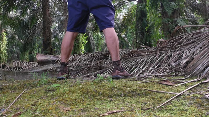 Footage of the Man Urinating, Urine is Dark, Indicating Dehydration ...
