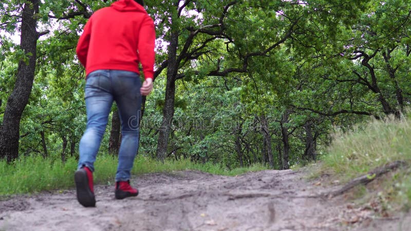 Anonymous Man Walking in Park. Back View of Young Male Walking Along ...