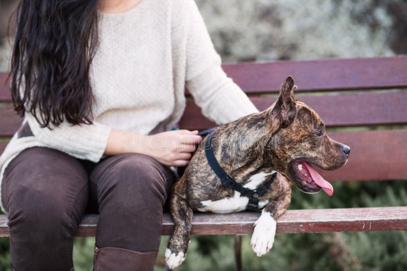 Anonymous woman with a dog stock photo. Image of lifestyle - 89276392