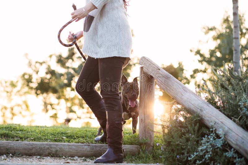 Anonymous Woman Walking a Dog Stock Photo - Image of female, close ...