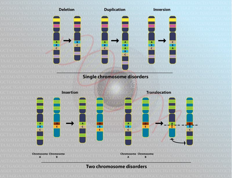 Anormalidades cromosómicas stock de ilustración. Ilustración de ...
