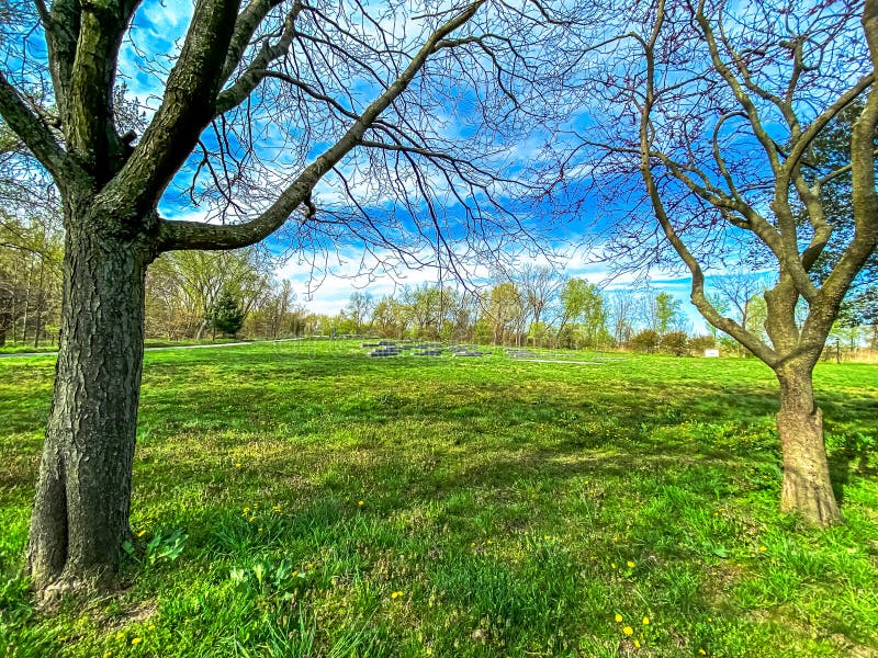 Another Beautiful Day in the Bronx. Stock Photo - Image of flower, lawn ...