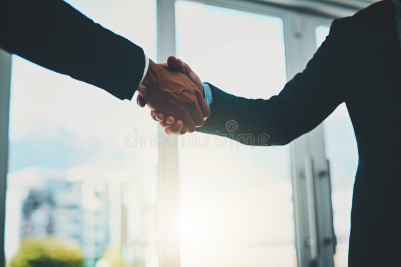 The Deal is Done. Two Businessmen Shaking Hands in the Office. Stock ...