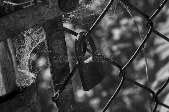 Another lock stock image. Image of lock, black, fence - 101526453