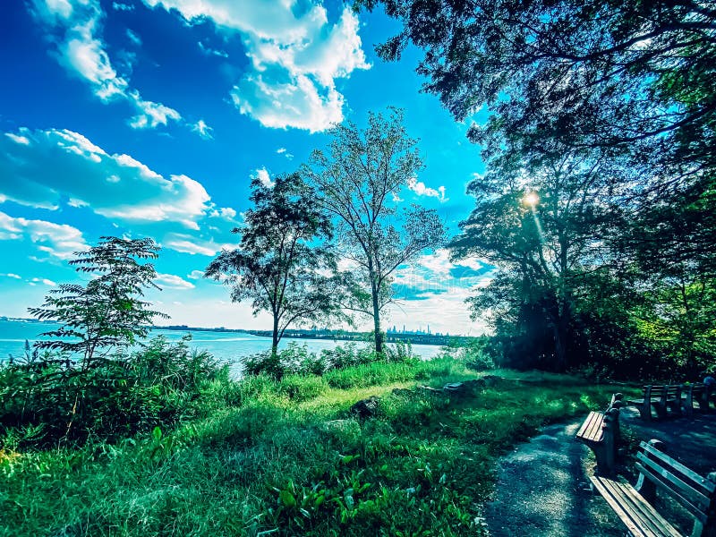 Another Splendid Day in a Forest. Stock Image - Image of tall, meadow ...