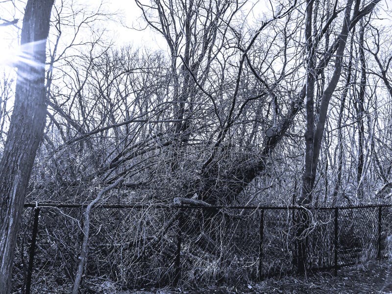 Another Splendid Sunny Day in the Great Outdoors. Stock Image - Image ...
