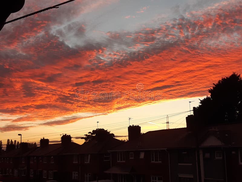 Another summer sky stock photo. Image of tree, sunlight - 202931912