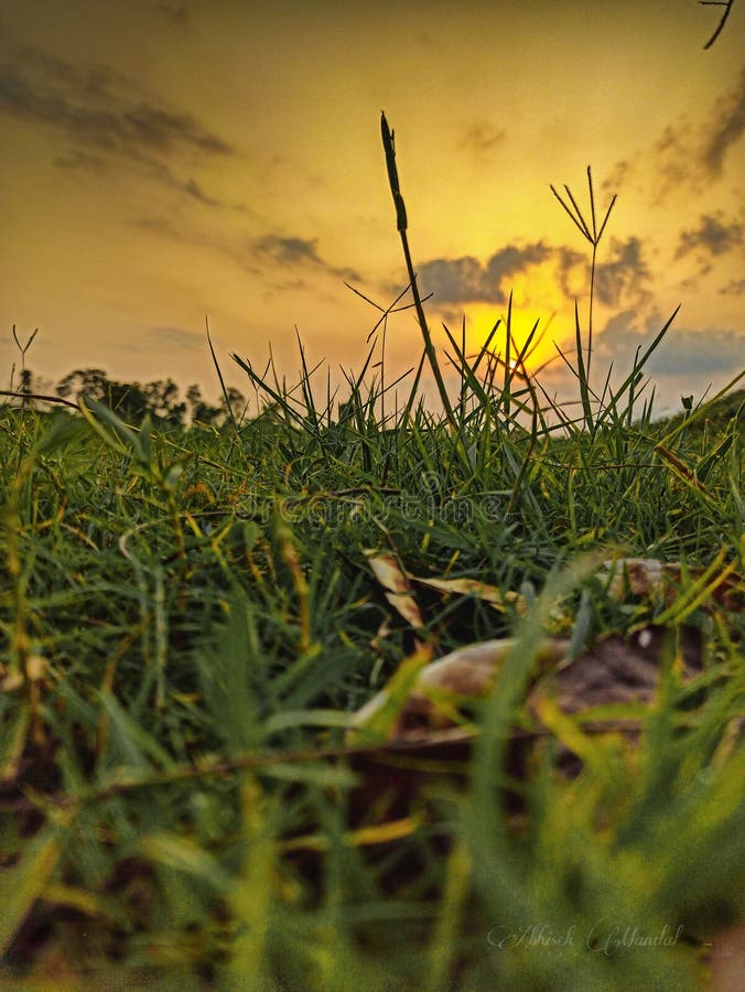 Another Sunset View from Grass Hopper Eye Stock Photo - Image of hopper ...