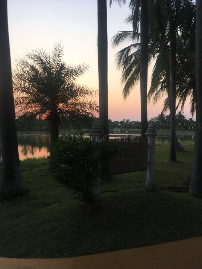 Nong Prajak stock image. Image of nong, plant, prajak - 102866405