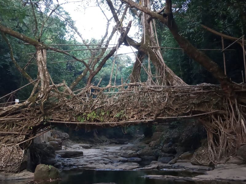 Shillonga Stock Photos - Free & Royalty-Free Stock Photos from Dreamstime