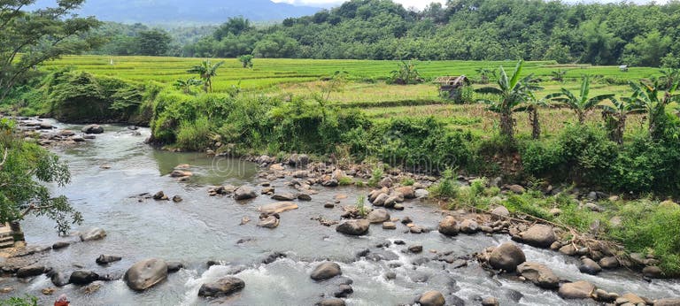 Another View of Plupuh River Willia Mountain Stock Photo - Image of ...