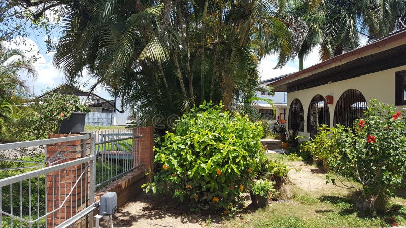 Another View of a Quiet Nice Garden Stock Image - Image of nice, view ...