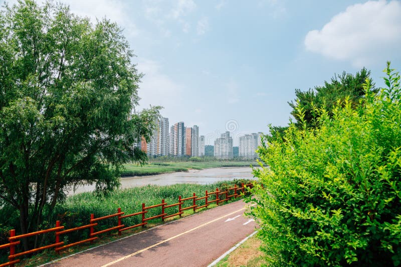Ansan Reed Marsh Park and Apartment Buildings in Ansan, Korea Stock ...