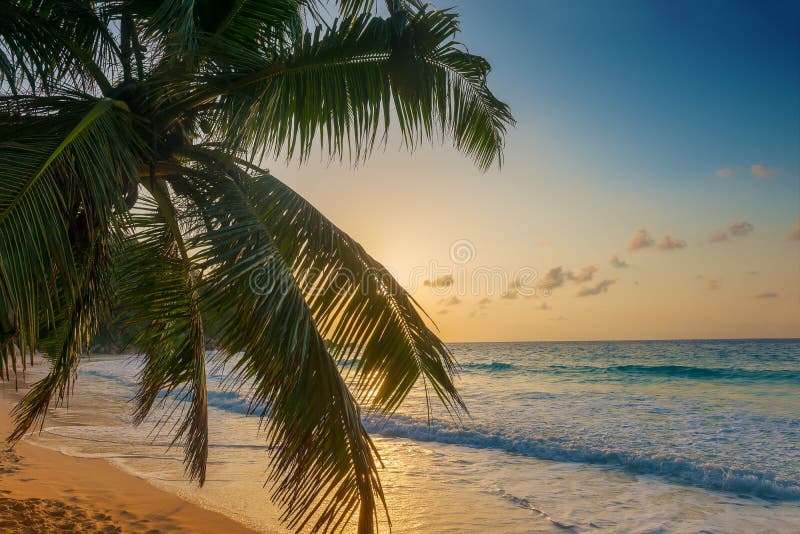 Anse Georgette Beach on Praslin Island Seychelles Stock Photo - Image ...