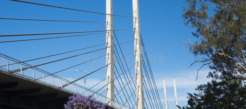 Ansicht Eleanor Schonell Bridges Im West End, Brisbane Stockfoto - Bild von himmel, brücke ...
