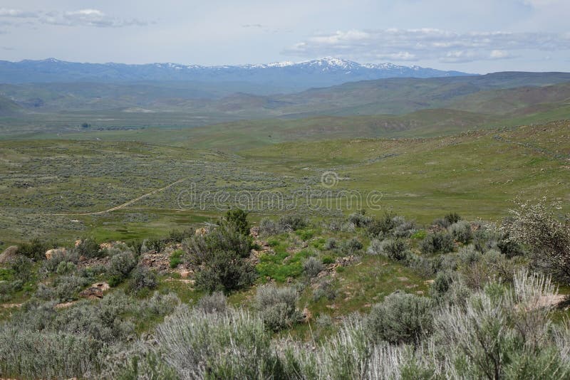 Ansicht Von Crane Creek, Idaho Stockfoto - Bild von grasland, kran ...