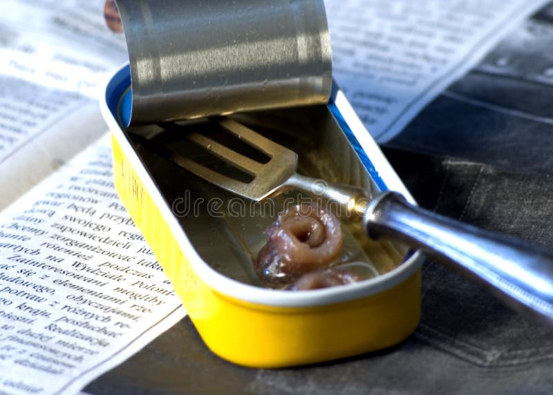 Ansjovis arkivfoto. Bild av engelskt, olja, burkar, maträtt - 4389610