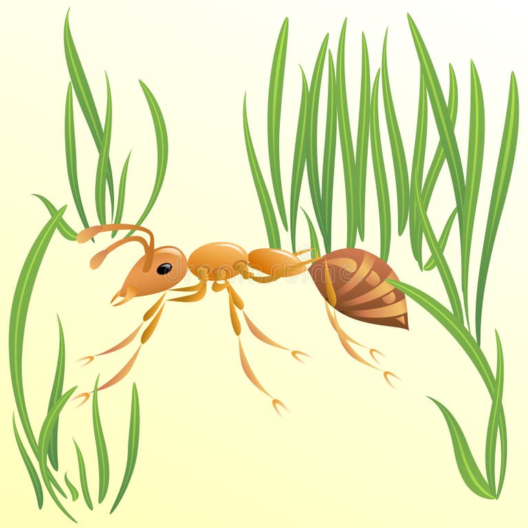 Yellow Ant Stock Illustrations – 3,493 Yellow Ant Stock Illustrations ...