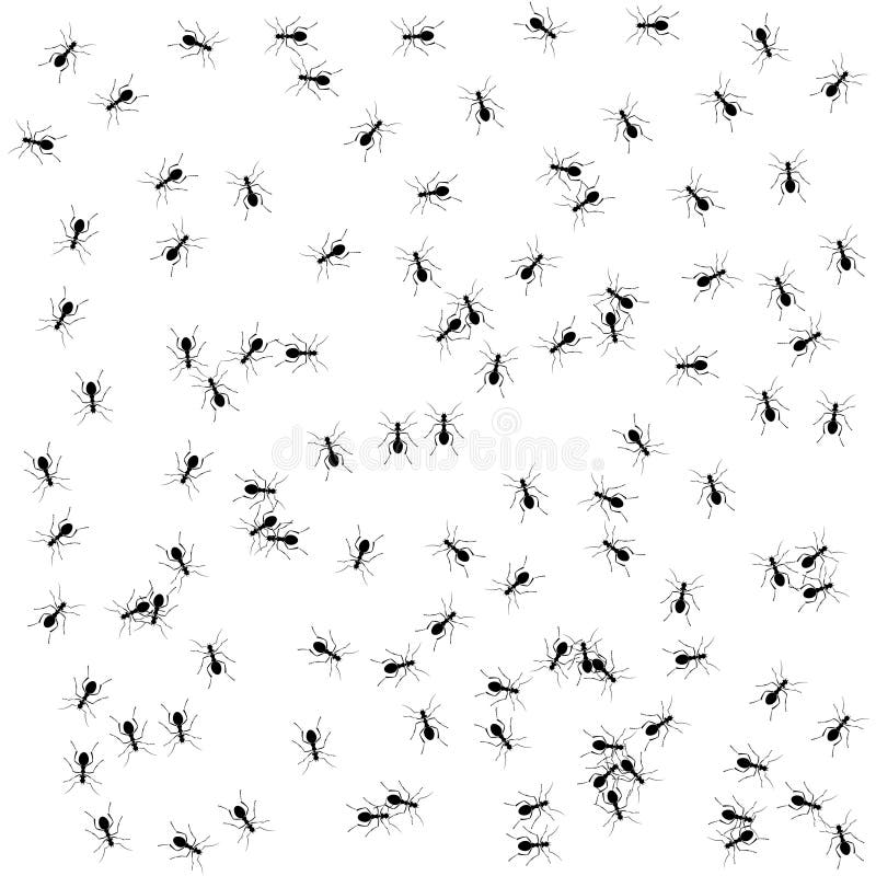 Vector ants - texture stock vector. Illustration of explore - 8976734
