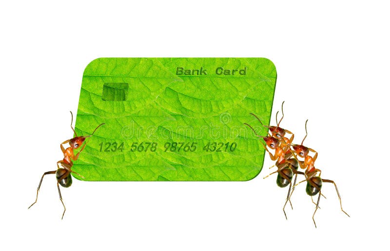 Ants Banking Stock Photos - Free & Royalty-Free Stock Photos from ...