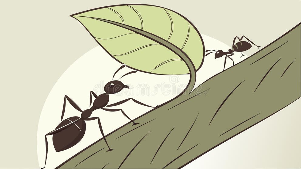 Ant Carrying Leaf, Teamwork in Nature, Insect Behavior and Cooperation ...