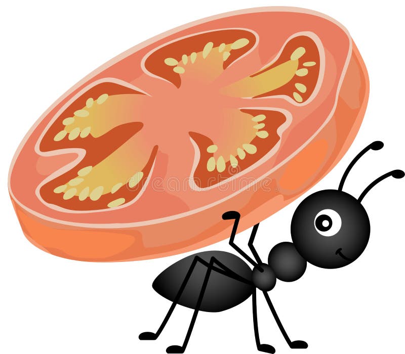 Baby Ant stock vector. Illustration of vector, black, funny - 7113689