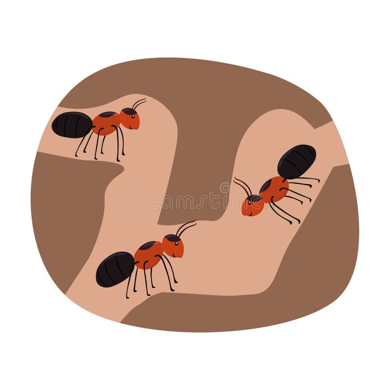 Ant Colony Living Underground Illustration, Vector Stock Vector ...