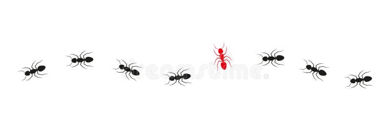 Ant Colony Trail. One Ant Changing Direction Stock Illustration ...