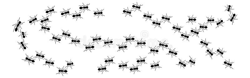 Ant Crawling Stock Illustrations – 769 Ant Crawling Stock Illustrations ...