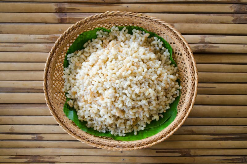 Ant eggs stock photo. Image of living, pest, invertebrate - 70652386