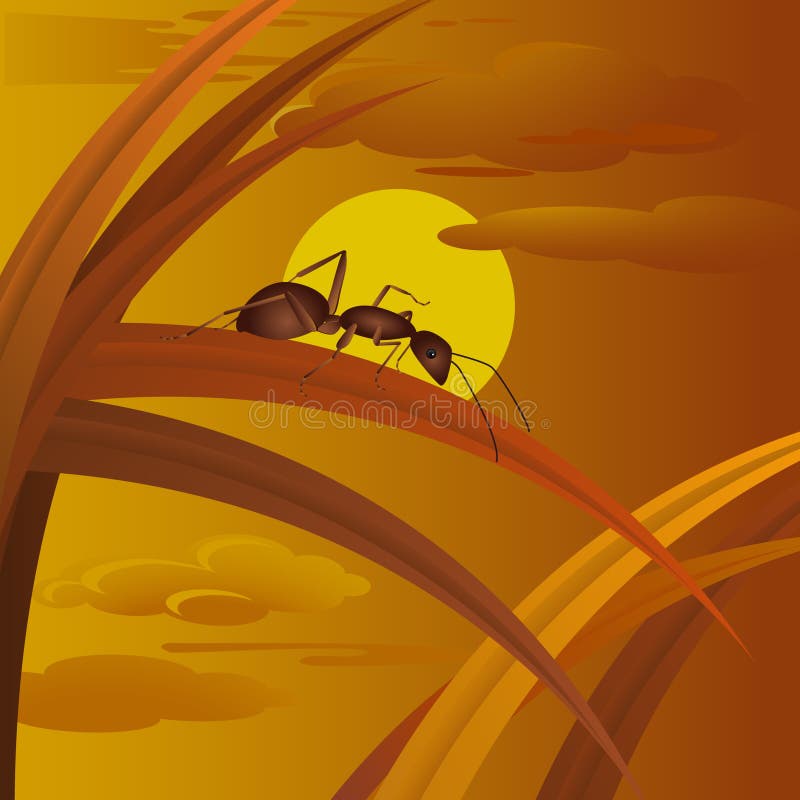 Ant on grass stock illustration. Illustration of park - 59529715