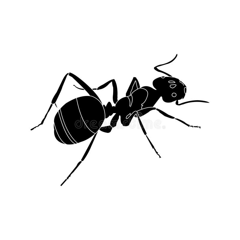 Ant icon stock vector. Illustration of character, crawls - 283134261