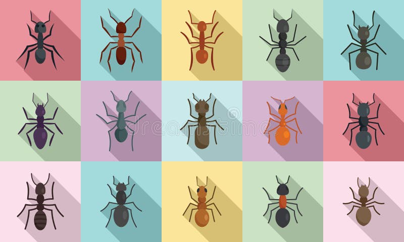 Ant icons set, flat style stock vector. Illustration of cute - 220543806