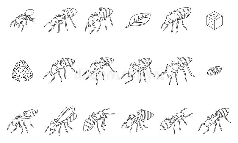 Ant Icons Set Vector Outline Stock Vector - Illustration of small ...