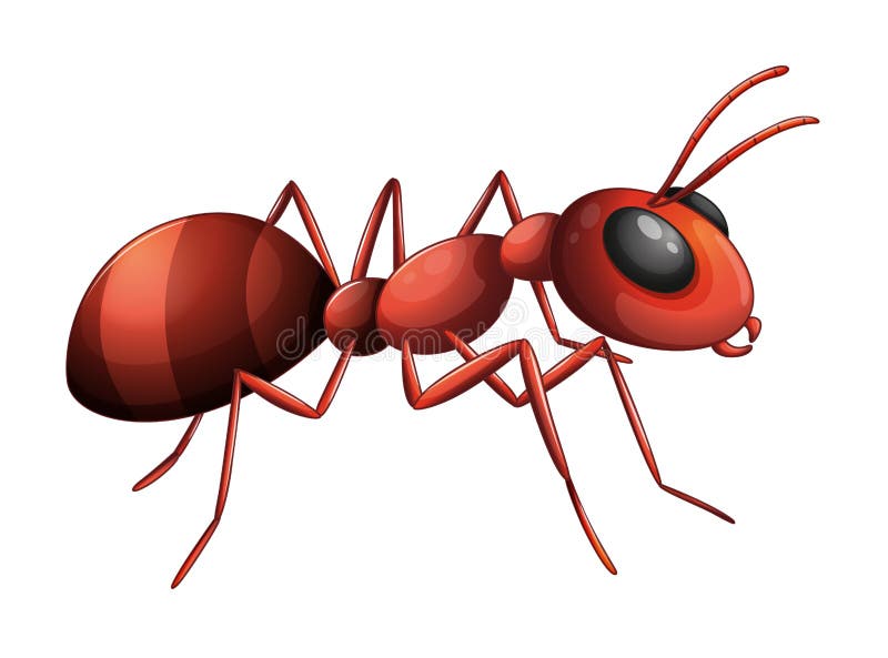 Detailed Red Ant Cartoon Character with Flat Design and Line Art Black ...