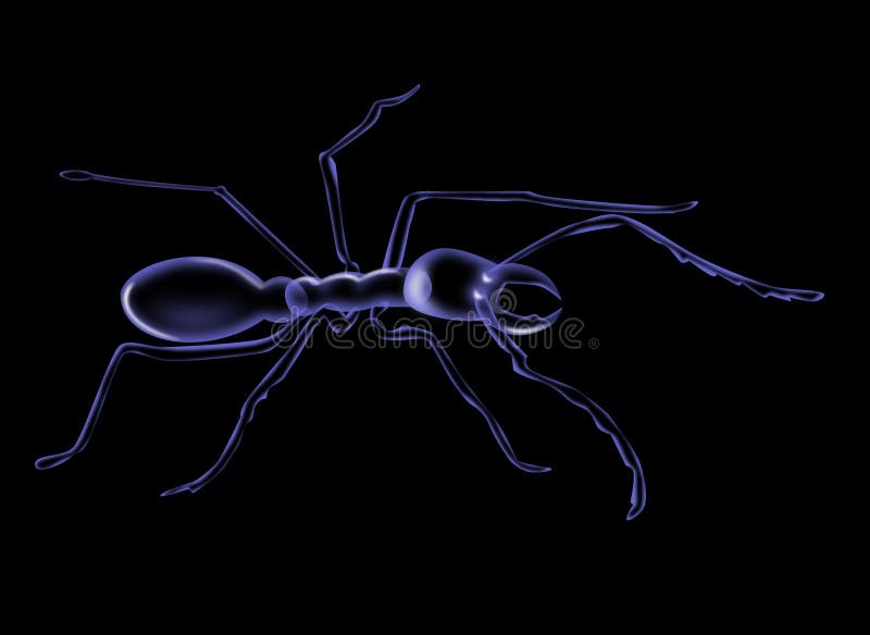 Ant insect x-ray stock illustration. Illustration of creep - 7660362