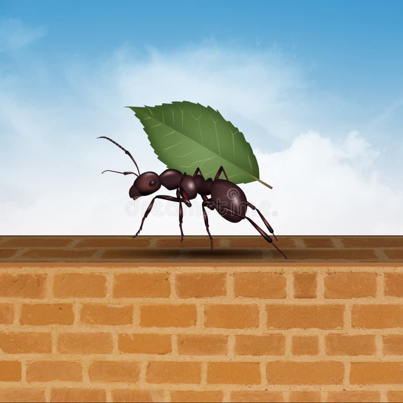 Ant with leaf stock illustration. Illustration of wall - 158730203