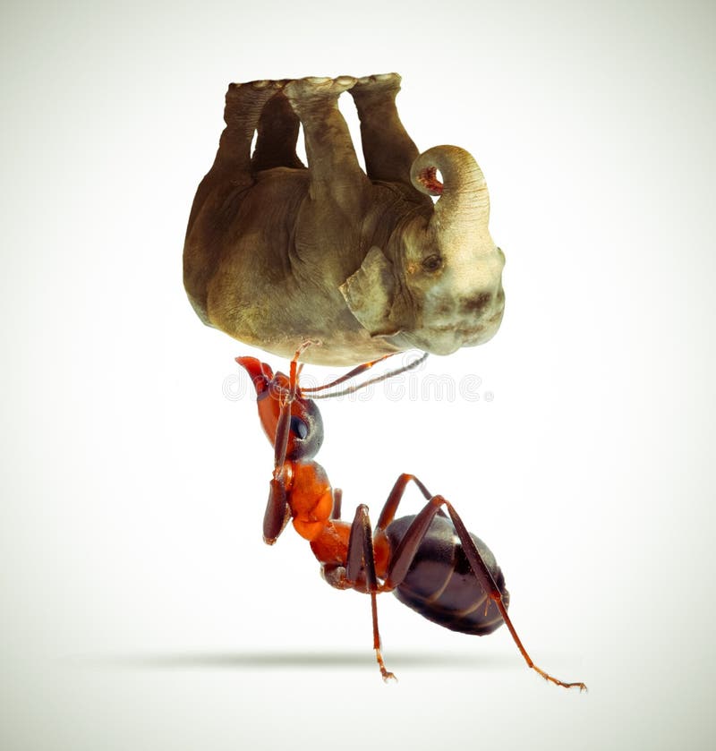 Ant Lifting an Elephant / Ant Holding an Elephant Stock Illustration ...
