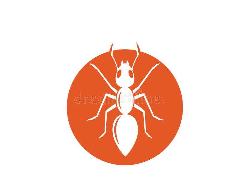 Ant Logo Icon Vector Illustration Design Stock Vector - Illustration of ...