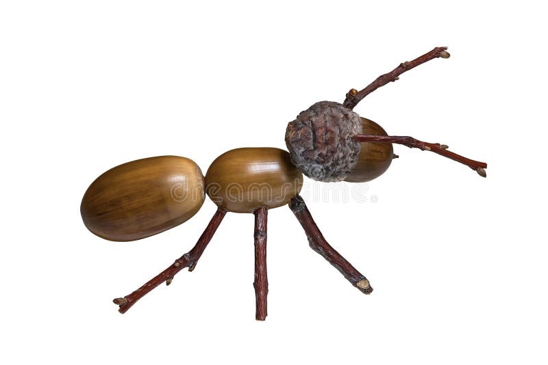 Ant Made from Acorns. Child Hand Crafts from Natural Materials Stock ...