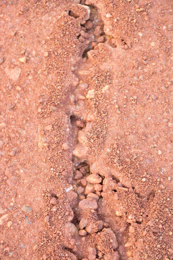 Ant Nest or Home on the Red Rocket Stock Photo - Image of ants ...